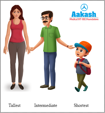 Polygenic Inheritance: Characteristics, Examples, Practice Problems and FAQs in Biology ...